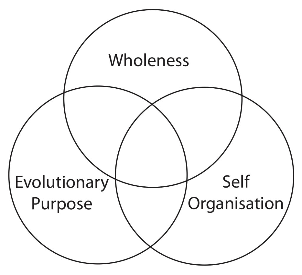 Thought of a Teal organisation structure for your group? We have!
